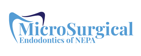 Root Canal Surgery - Microsurgical Endodontics of NEPA | Dr. Joseph Legg II